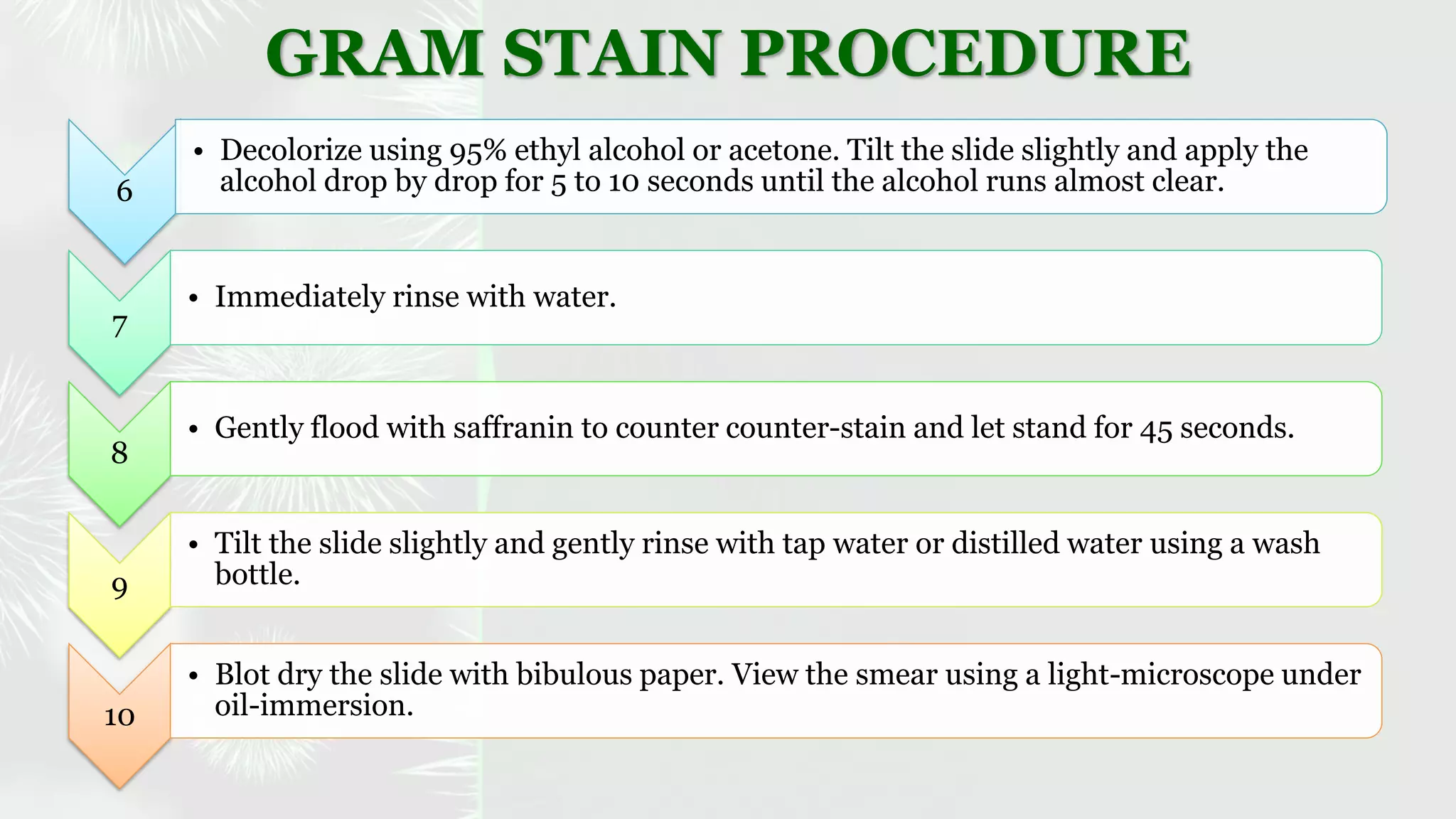 Identification of bacteria by staining techniques | PDF