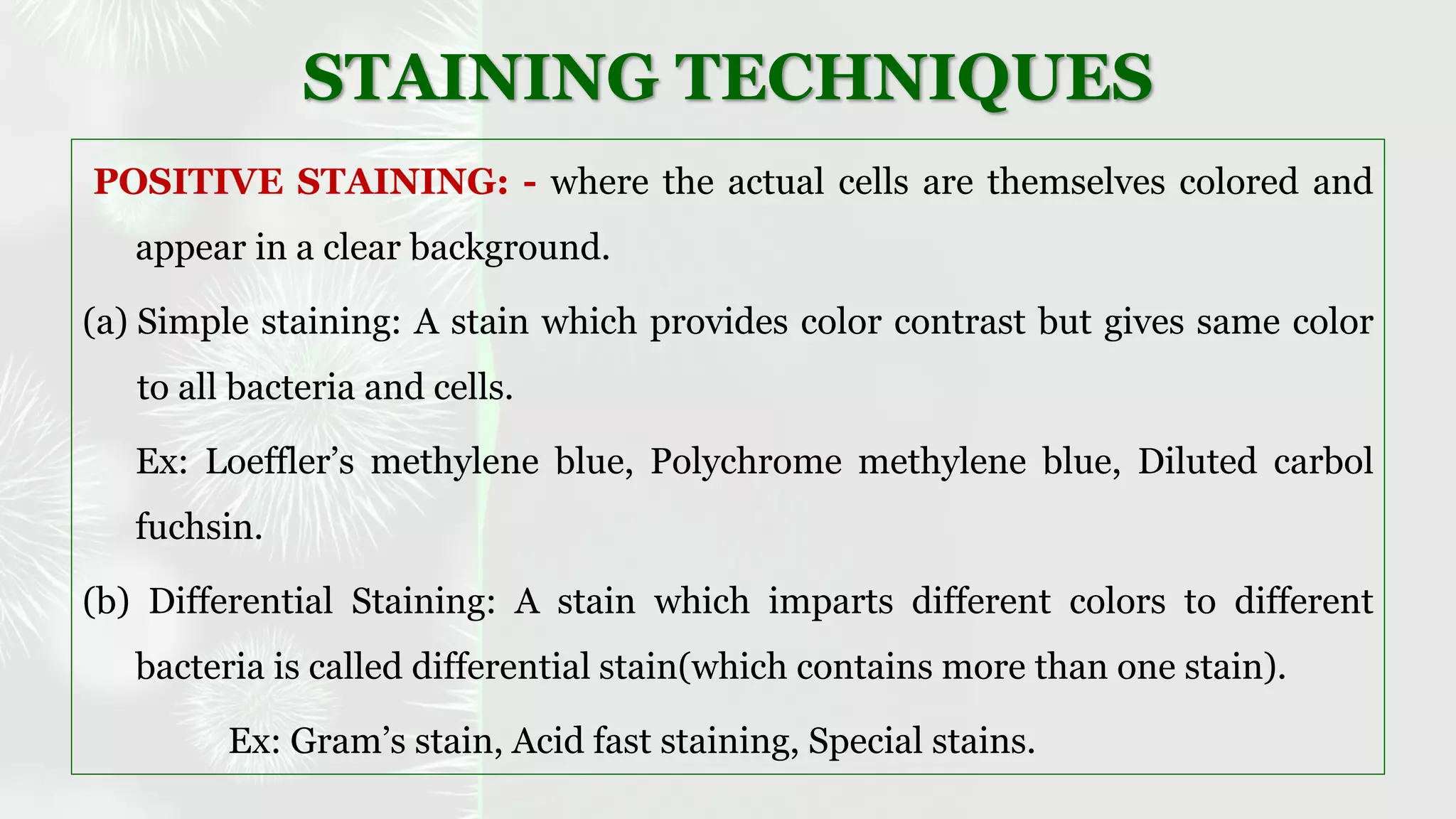 Identification of bacteria by staining techniques | PDF