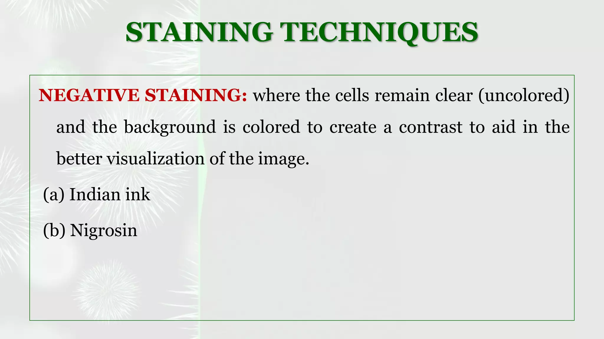 Identification of bacteria by staining techniques | PDF