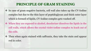 Identification of bacteria by staining techniques | PDF
