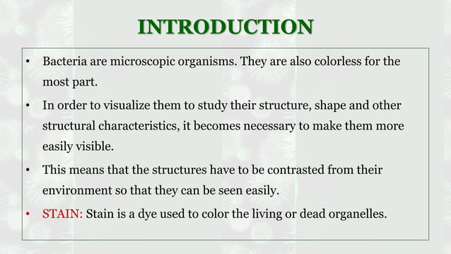 Identification of bacteria by staining techniques | PDF | Chemistry ...