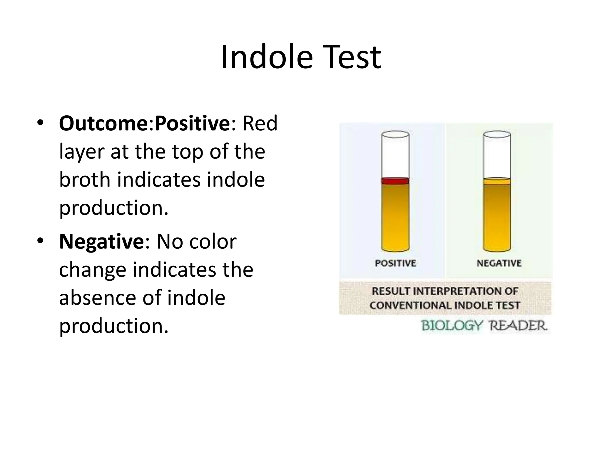 Identification of bacteria using staining techniques | PPTX