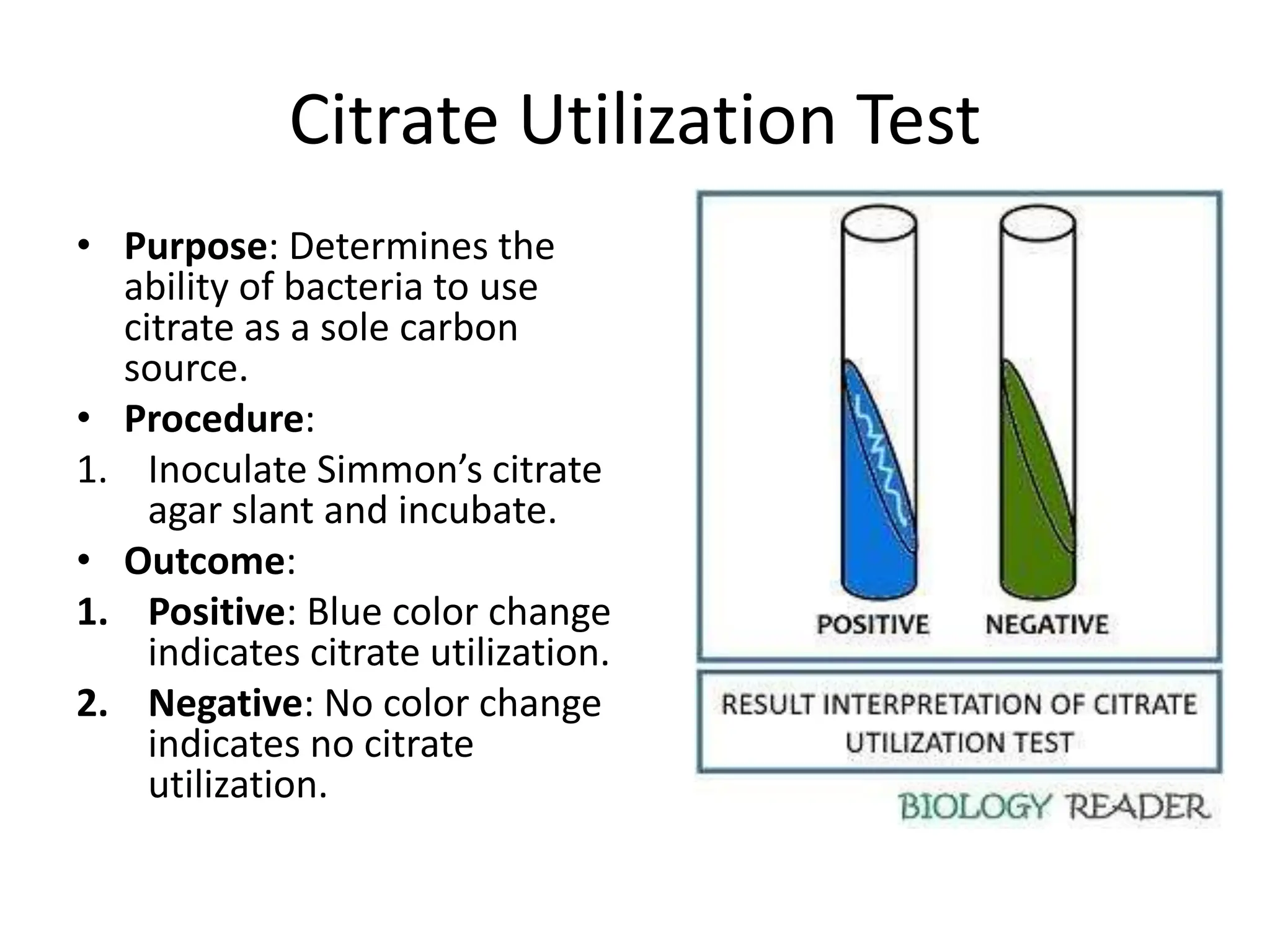 Identification of bacteria using staining techniques | PPTX