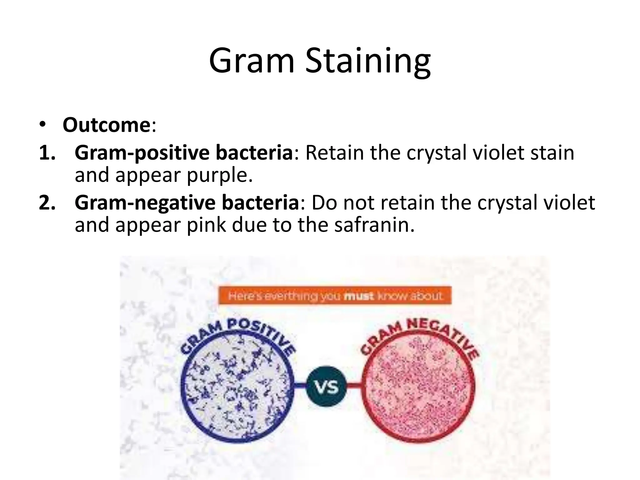 Identification of bacteria using staining techniques | PPTX