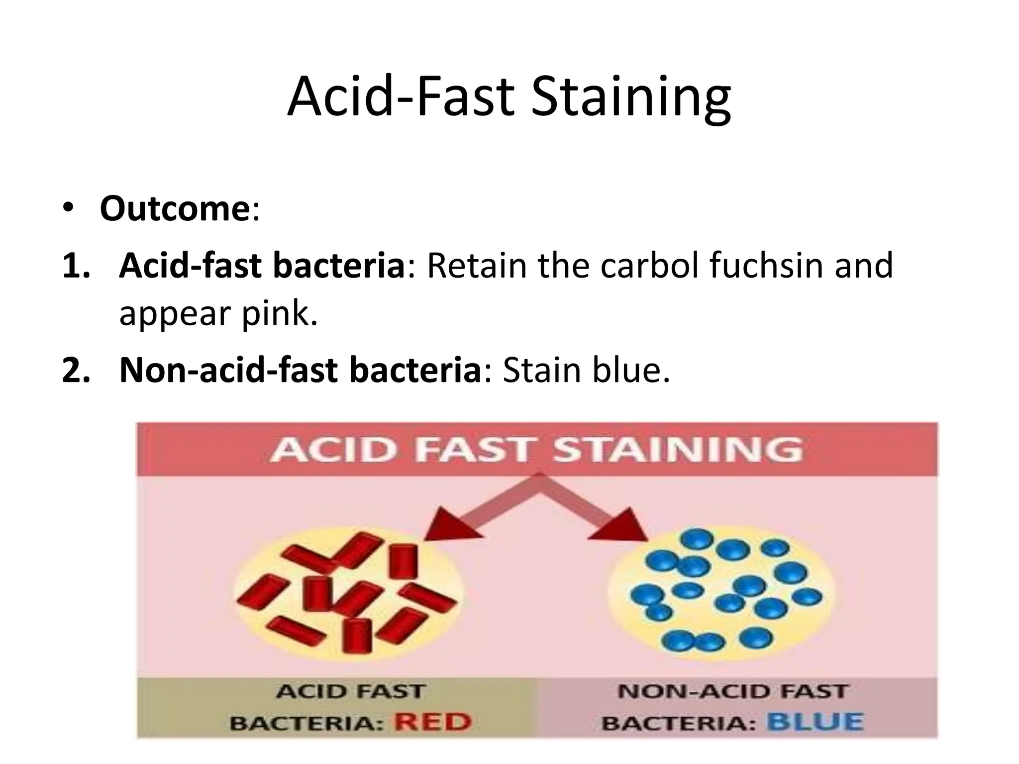 Identification of bacteria using staining techniques | PPTX