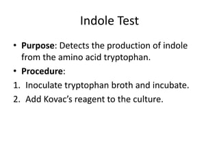 Identification of bacteria using staining techniques | PPTX