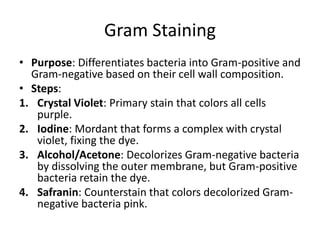 Identification of bacteria using staining techniques | PPTX