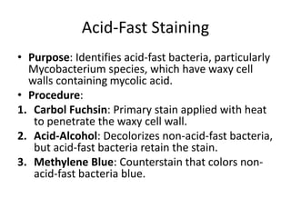 Identification of bacteria using staining techniques | PPTX