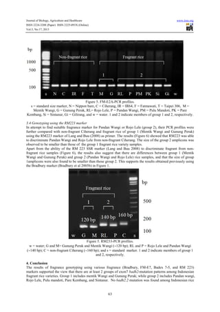 Identification of badh2 mutation type among indonesian fragrant rice ...