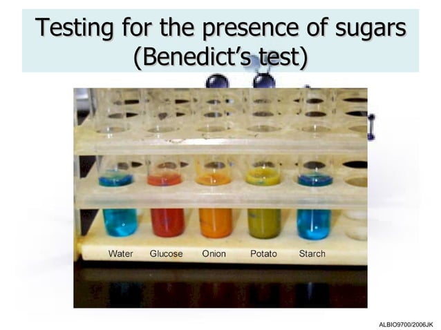 Identification of Biological Molecules | PPT | Chemistry | Science