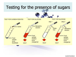 Identification of Biological Molecules | PPT