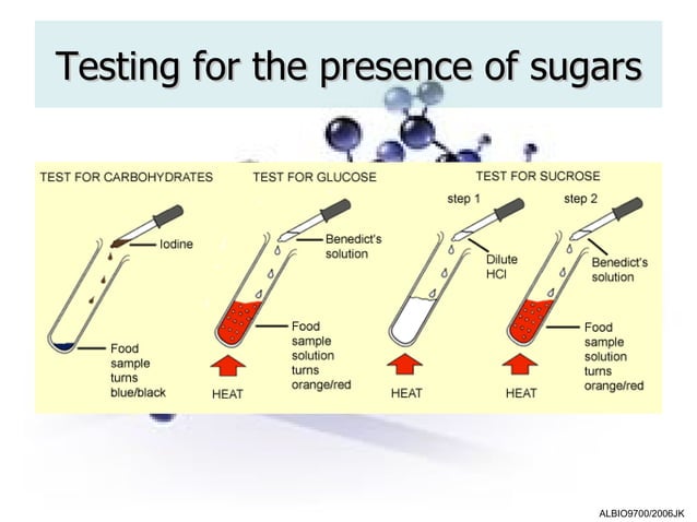 Identification of Biological Molecules | PPT | Chemistry | Science