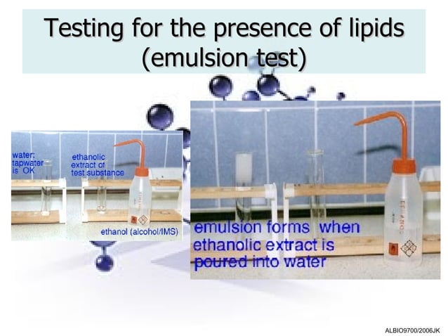 Identification of Biological Molecules | PPT | Chemistry | Science