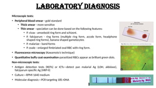 Identification of Blood parasites: Malaria and Microfilaria.pptx