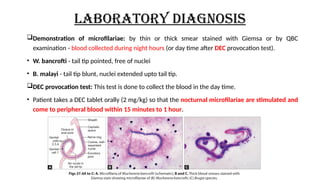 Identification of Blood parasites: Malaria and Microfilaria.pptx