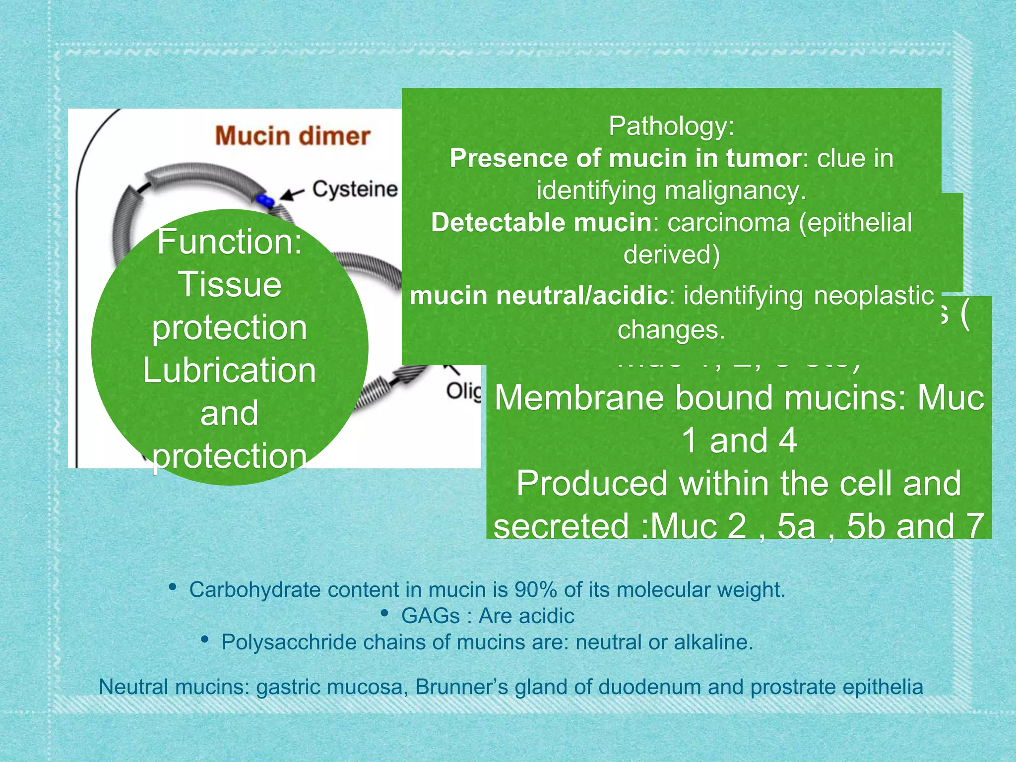 Identification of carbohydrate | PPTX