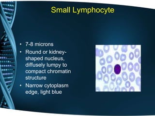 Identification of cells | PPTX
