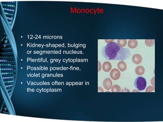 Identification of cells | PPTX