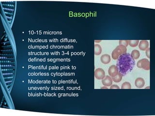 Identification of cells | PPTX