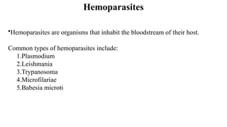 IDENTIFICATION OF COMMON HEMOPARASITES.pptx