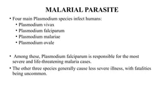 IDENTIFICATION OF COMMON HEMOPARASITES.pptx