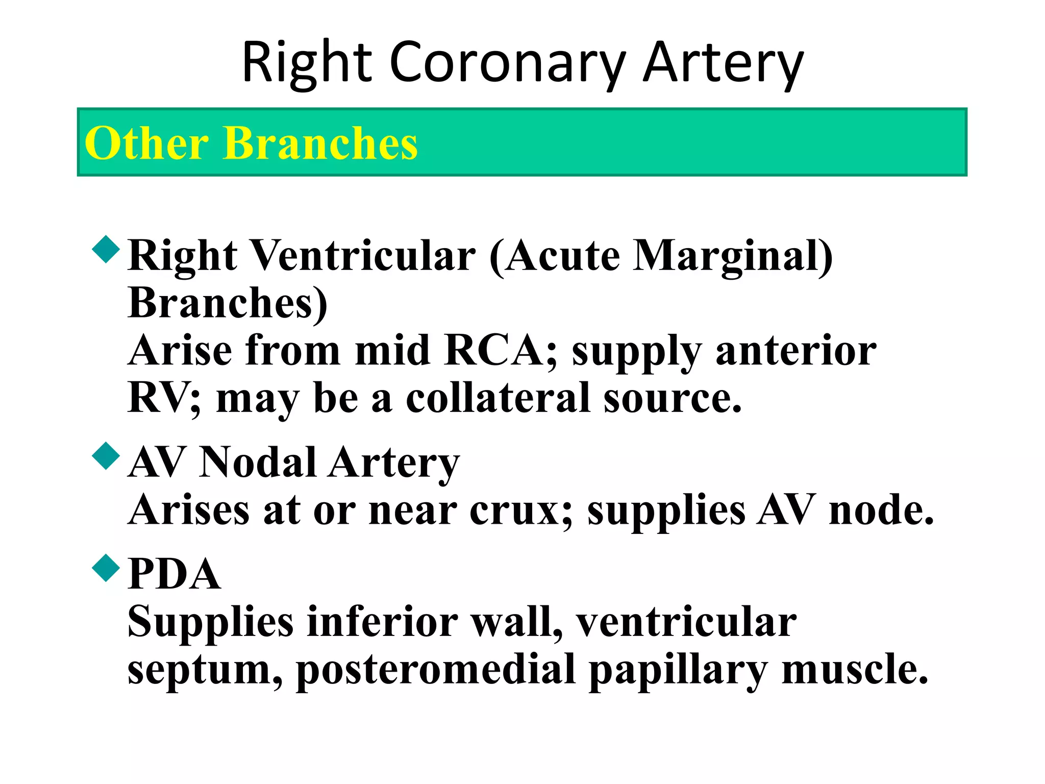 Identification of coronary arteries by different angiographic views ...