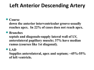 Identification of coronary arteries by different angiographic views ...