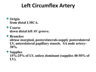 Identification of coronary arteries by different angiographic views ...