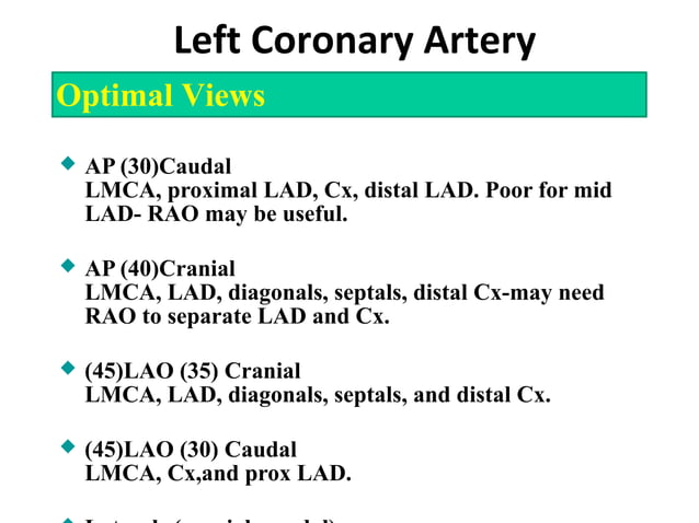 Identification of coronary arteries by different angiographic views ...