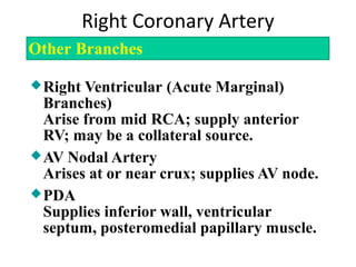 Identification of coronary arteries by different angiographic views ...