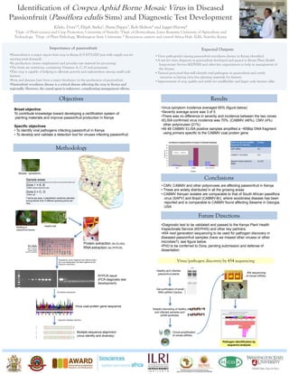 Identification of cowpea aphid borne mosaic virus in diseased ...