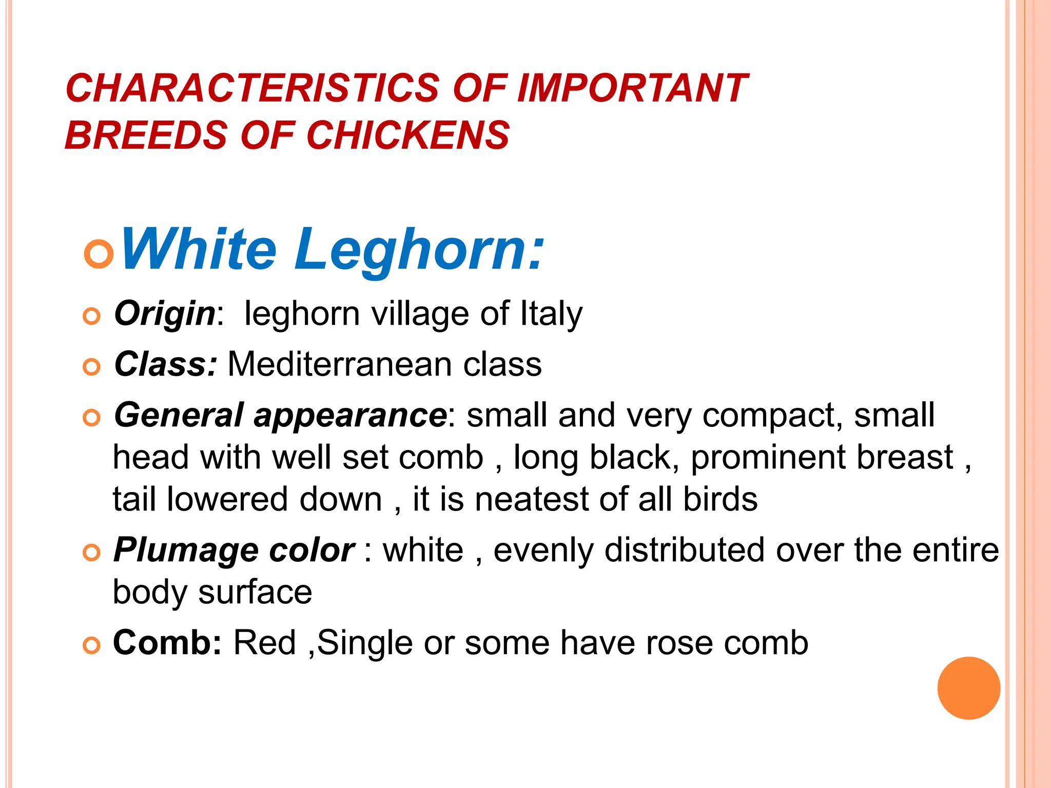 Identification of different Breeds of Poultry Chicken.pptx