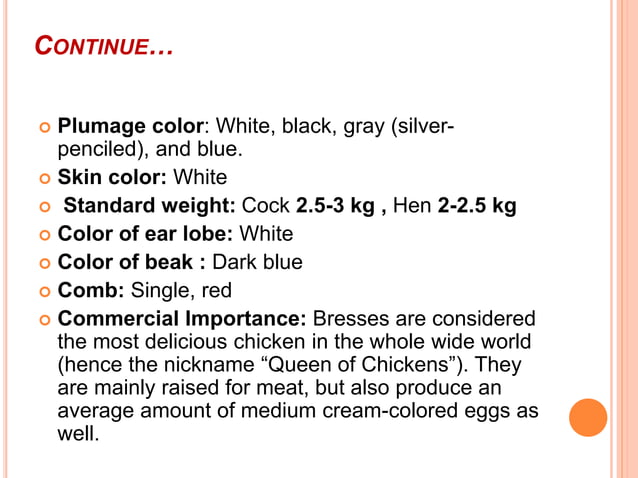 Identification of different Breeds of Poultry Chicken.pptx | Birds | Pets