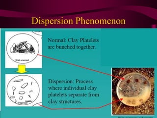 Identification of dispersive soils | PPTX
