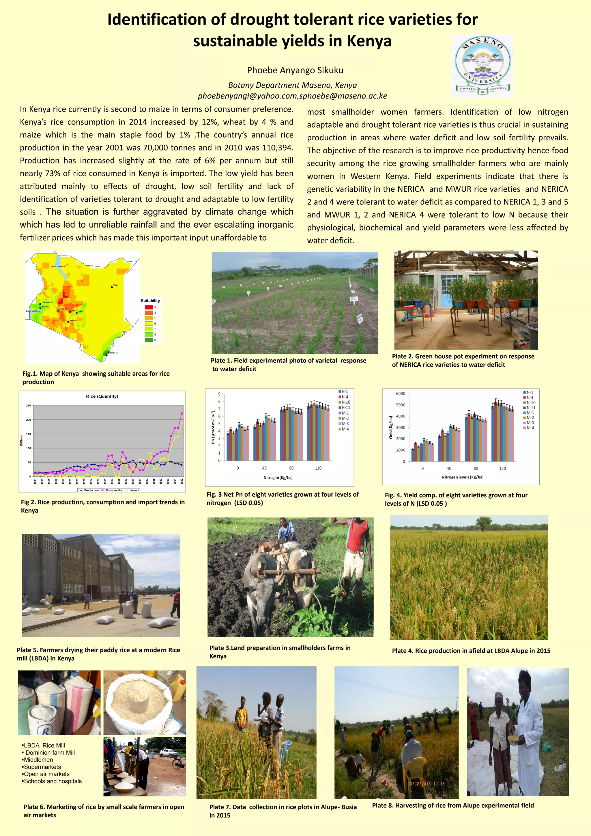 Identification of drought tolerant rice varieties for sustainable ...