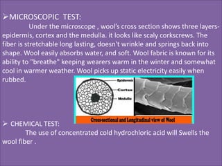 Identification of fibers | PPT