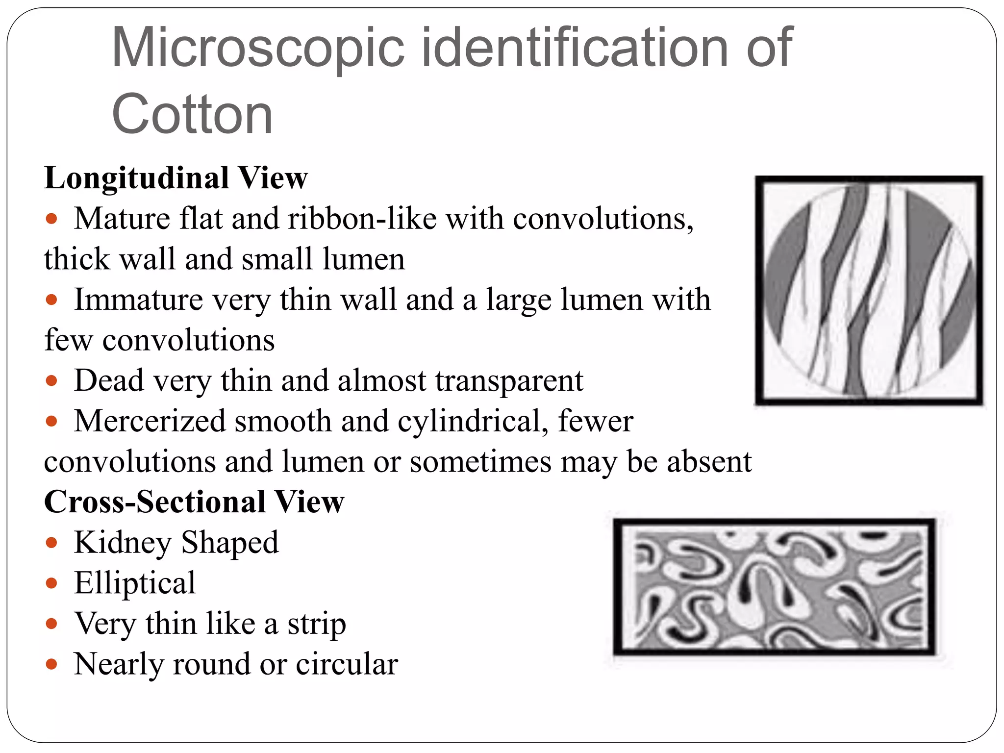 IDENTIFICATION OF FIBRES.ppt