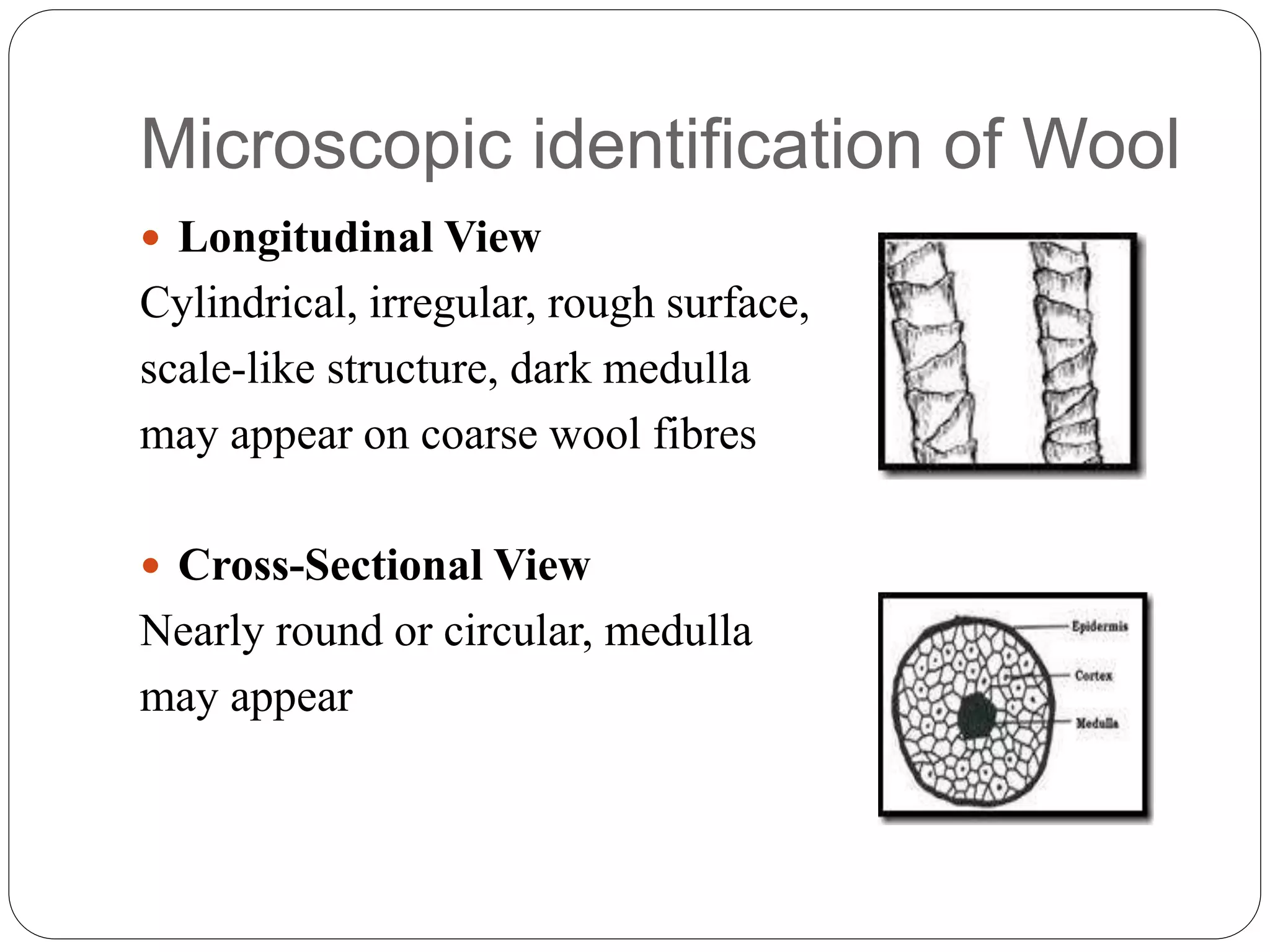 IDENTIFICATION OF FIBRES.ppt