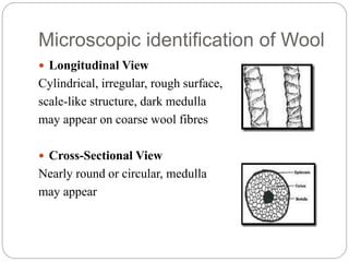 IDENTIFICATION OF FIBRES.ppt