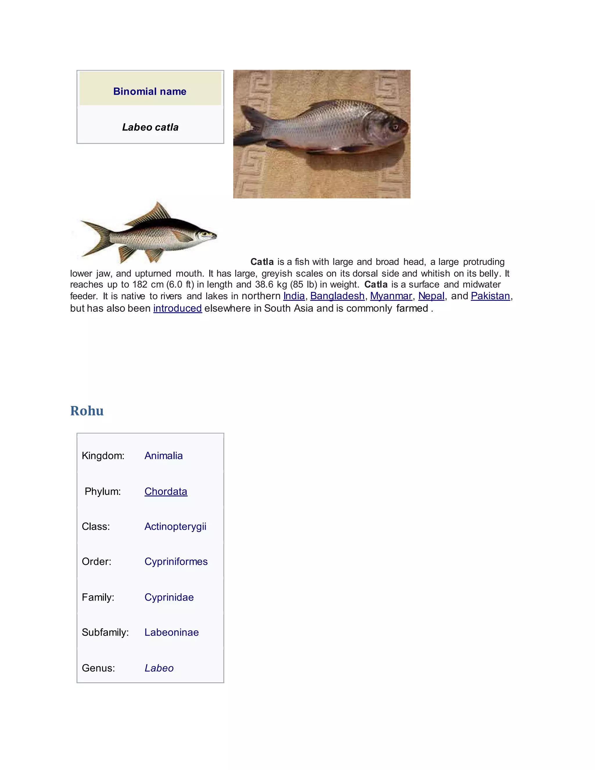 Identification of fishes | DOCX