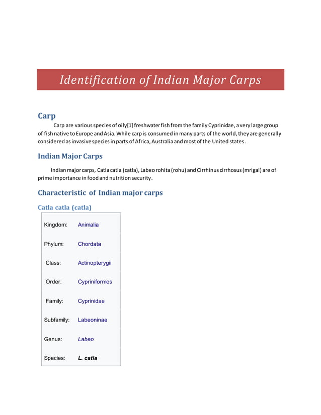 Identification of fishes | DOCX
