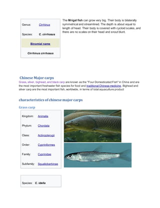 Identification of fishes | DOCX