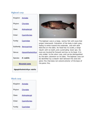 Identification of fishes | DOCX
