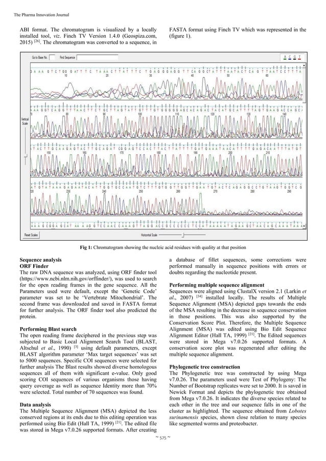 Identification of fish species using dna barcode from visakhapatnam ...