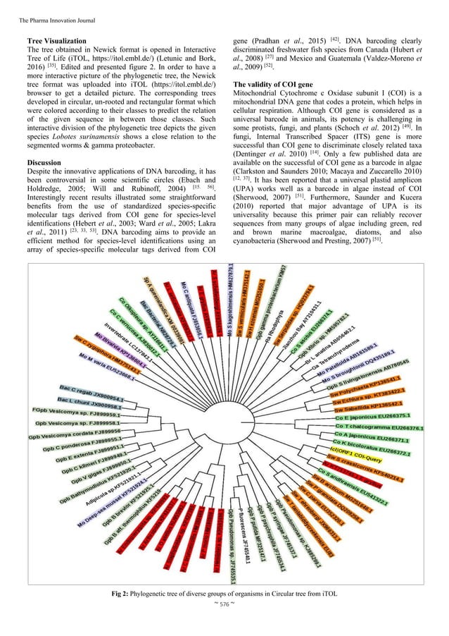 Identification of fish species using dna barcode from visakhapatnam ...