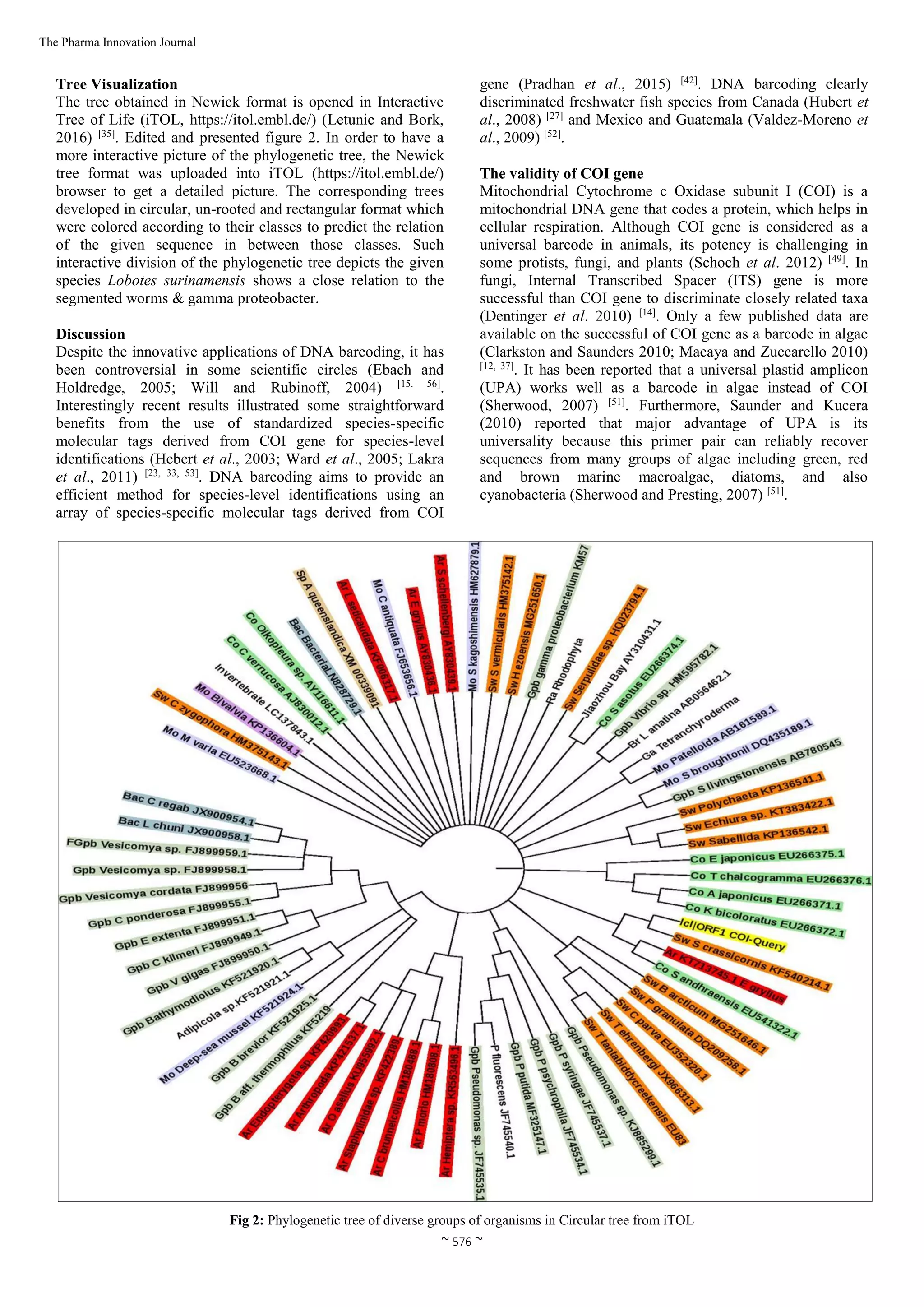 Identification of fish species using dna barcode from visakhapatnam, east coast of india | PDF
