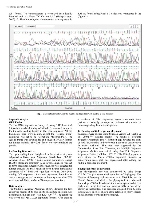 Identification of fish species using dna barcode from visakhapatnam, east coast of india | PDF