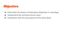 Identification of fungi.pptx