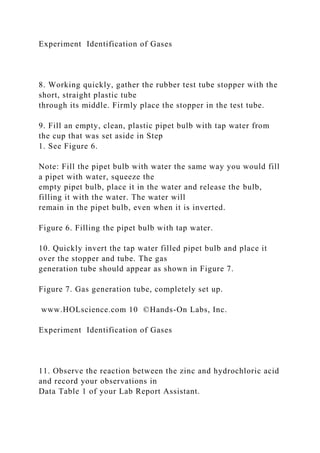 Identification of GasesHands-On Labs, Inc. Version 42-01.docx