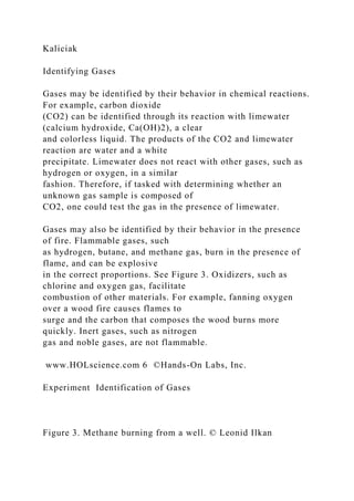 Identification of GasesHands-On Labs, Inc. Version 42-01.docx